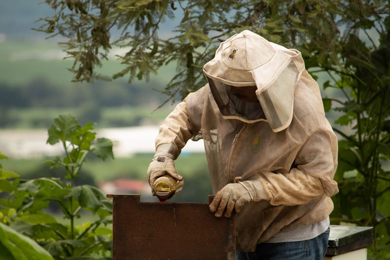 Varroa Mesh for National Hive