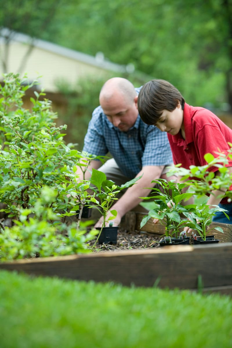 The Soil's Silent Allies: The Undeniable Importance of Fertiliz...
