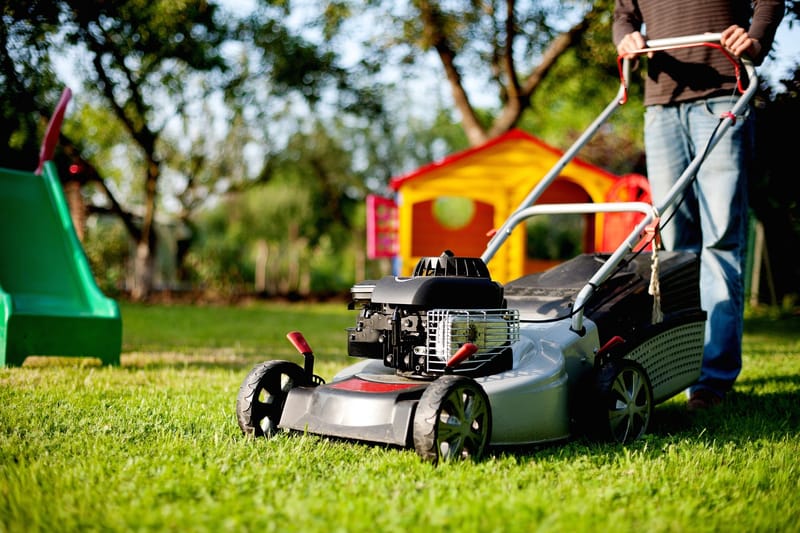 Why Do People Need Lawn Care Services? - E•Z Lawn Care Services