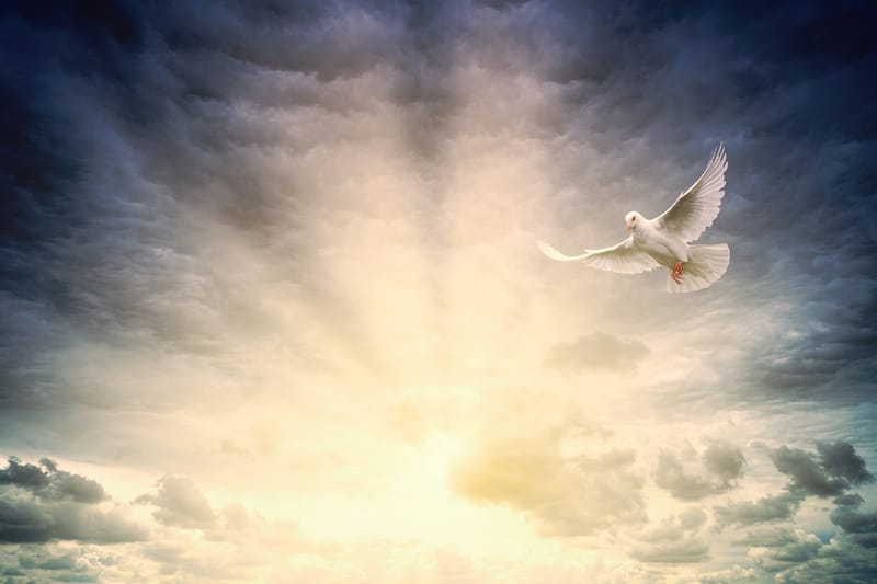 The Role of the Holy Spirit as an Advocate and Source of...