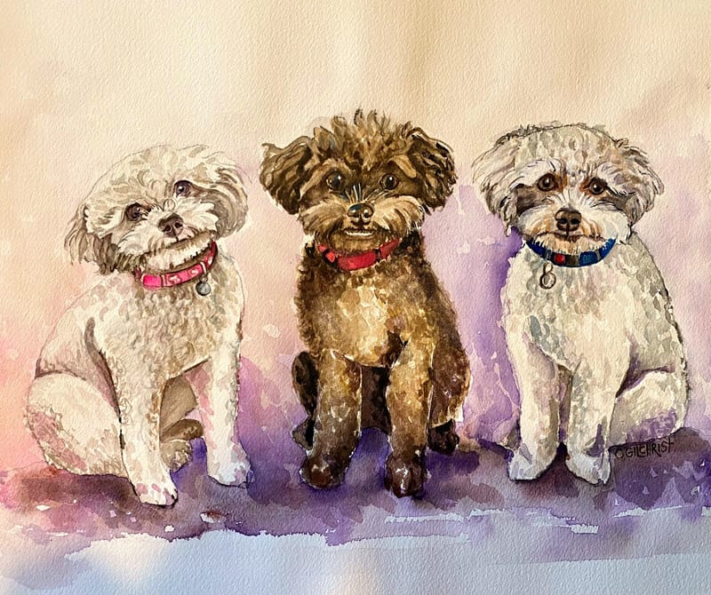 Ellie, Chewy, and Patches - Christina Gilchrist