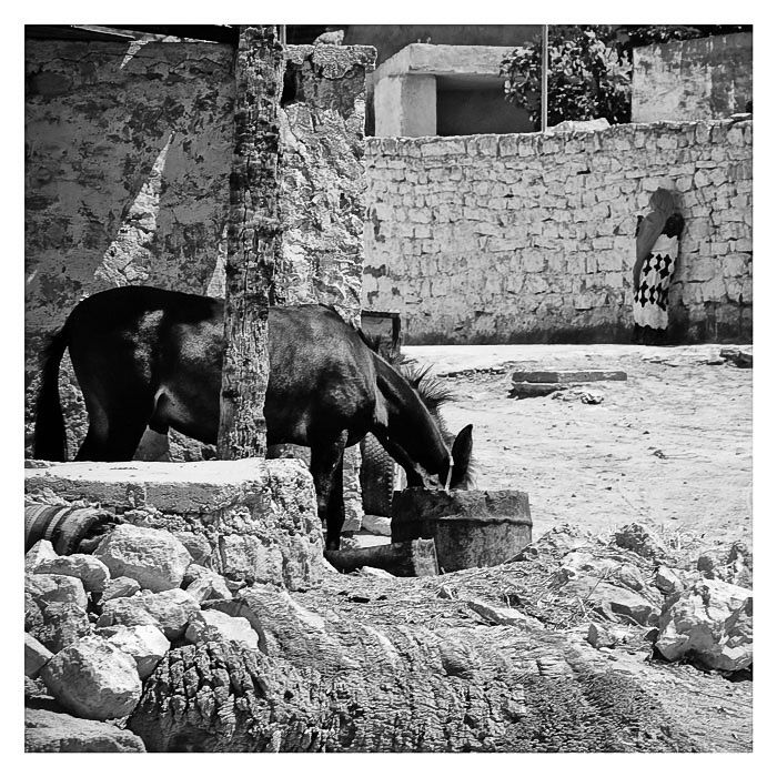 Cache-cache, Chenenni, Tunisie - Squal-Photographie