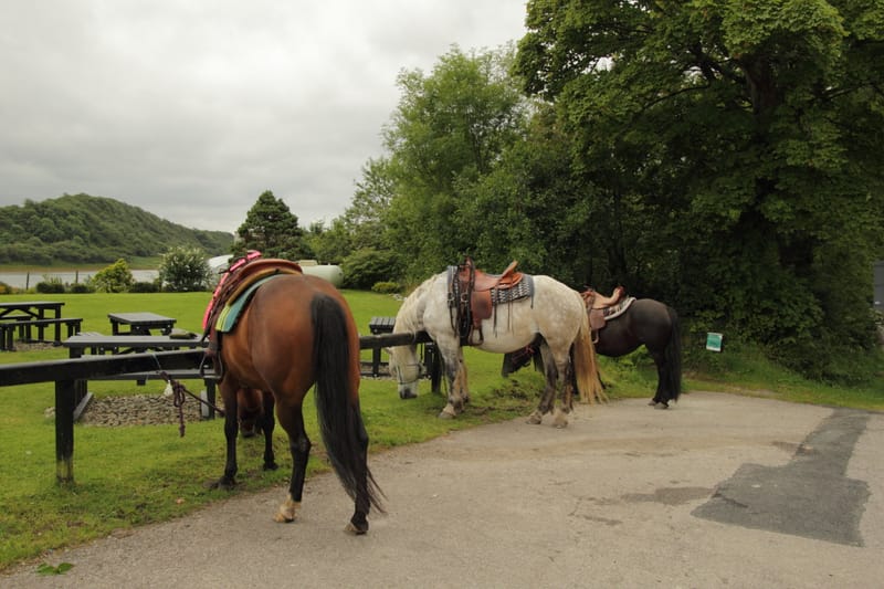 Lunga Riding Stables