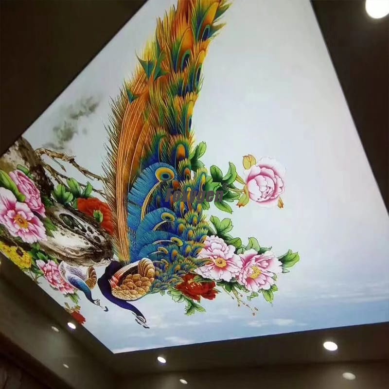 How to install the led light for soft pvc stretch ceiling system ...