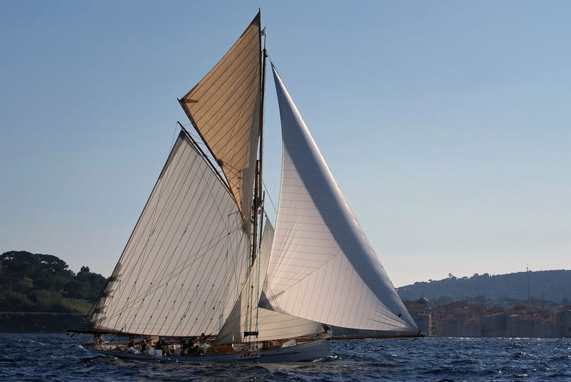 Gallery - Ecomed SOLUTIONS