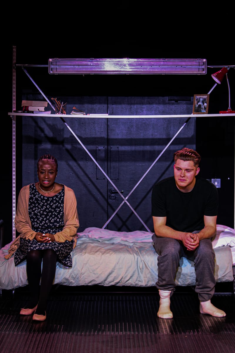 DOGS - 2022 - Nathan Powell