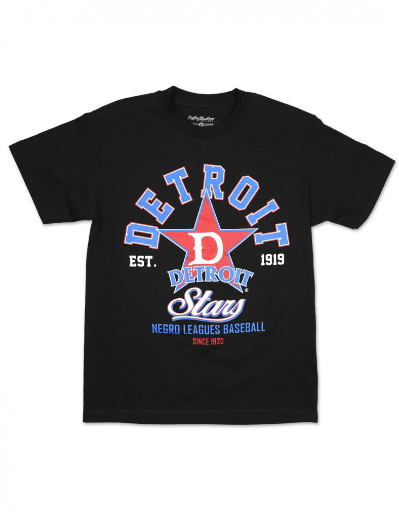 Detroit Stars Legends 2 - TheYNLBPTraveling Exhibit