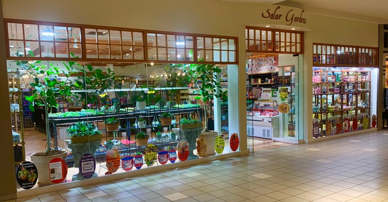 Italian valentine’s day 6 course dinner - SOLAR GARDENS