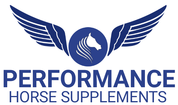 Download the FREE Endurance Ride Checklist - Performance Horse ...