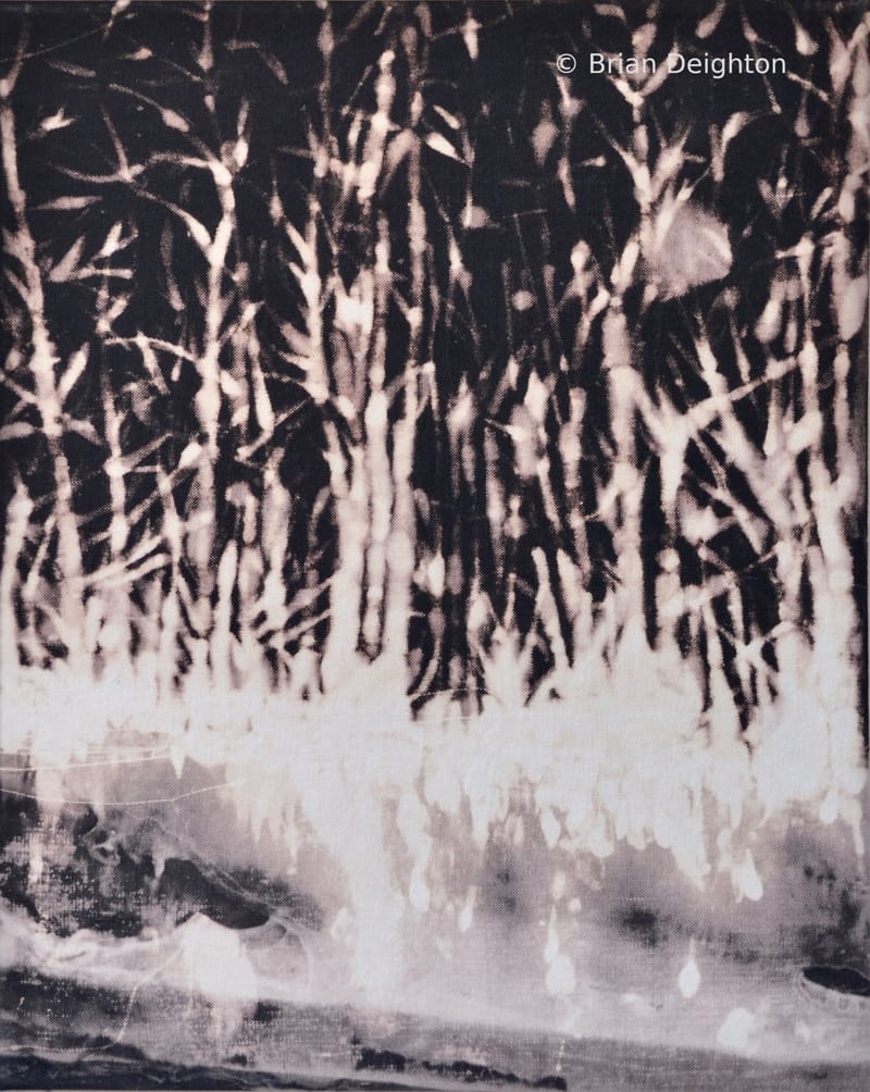 Wildfire - The Burton Gallery