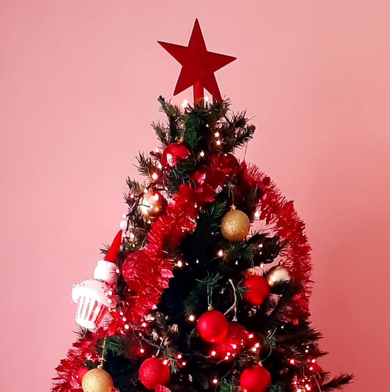 ΣΤΟΛΙΣΜΟΣ ΧΡΙΣΤΟΥΓΕΝΝΙΑΤΙΚΟΥ ΔΕΝΤΡΟΥ - ΕΥΑΓΓΕΛΙΣΜΟΣ ΑΜΚΕ