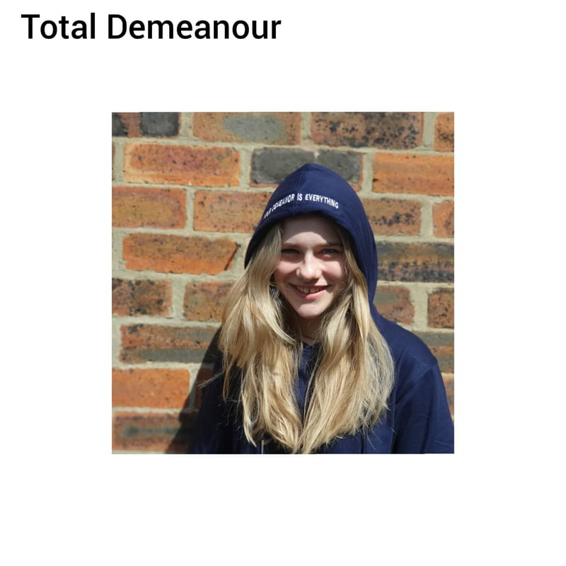Total Demeanour Stateside Hoodie T-Shirt.
