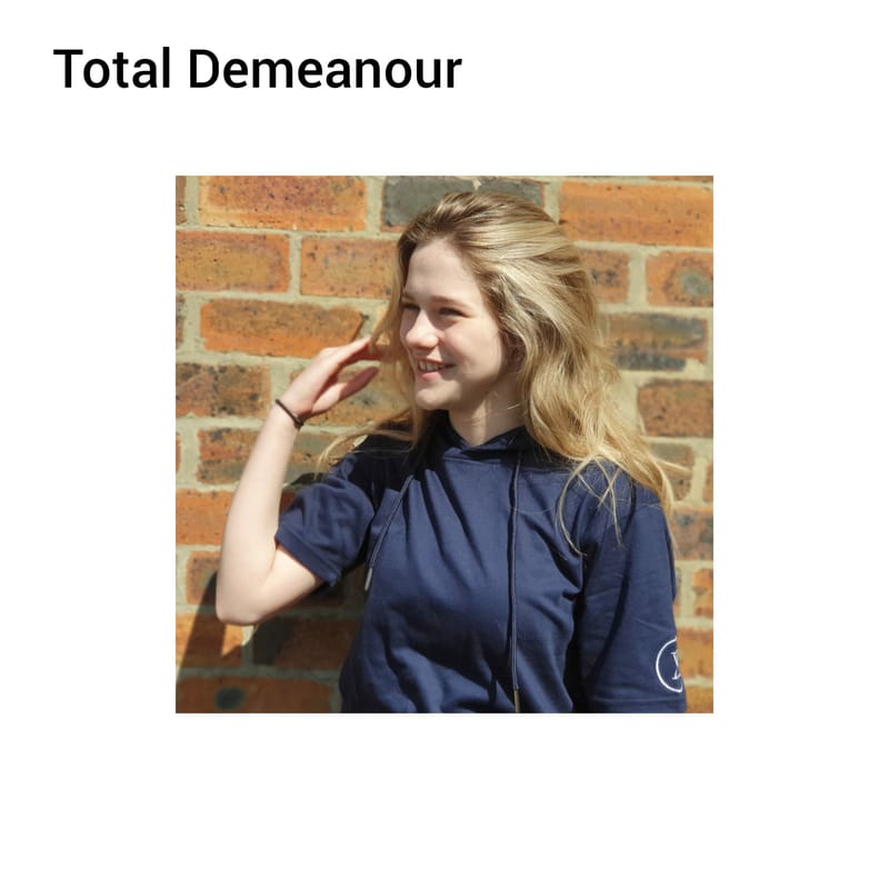 Total Demeanour Stateside Hoodie T-Shirt.