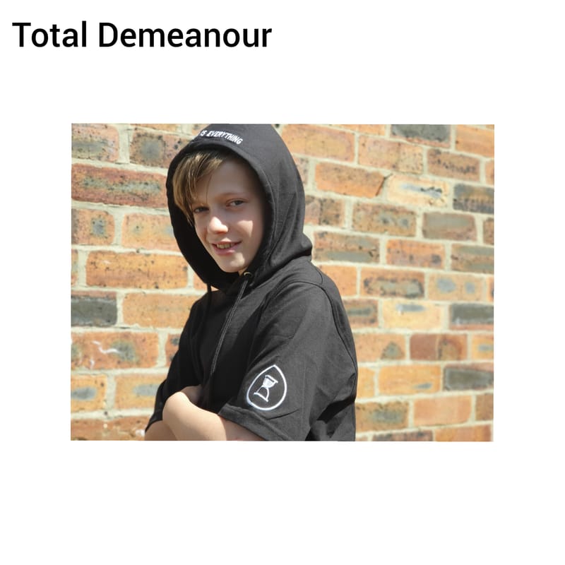 Total Demeanour Stateside Hoodie T-Shirt. - TOTAL DEMEANOUR