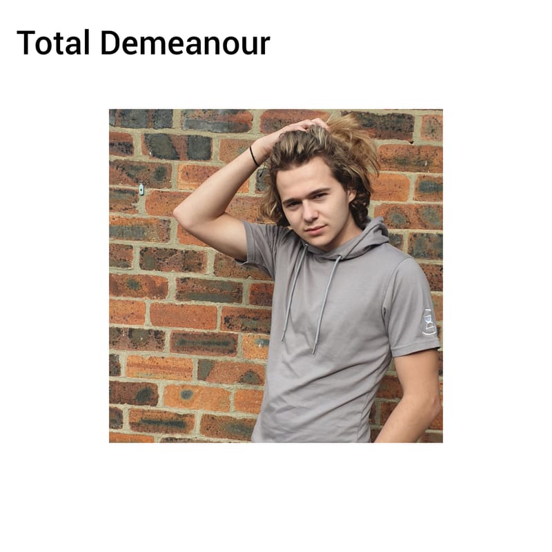 Total Demeanour Stateside Hoodie T-Shirt. - TOTAL DEMEANOUR