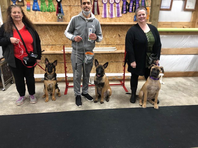 obedience, dog class, dog training, dog classes, canine Good Citizen,