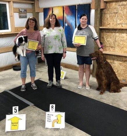 dog training, obedience, Rally, AKC