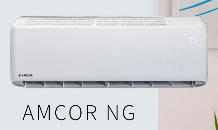AMCOR INVERTER 24NG