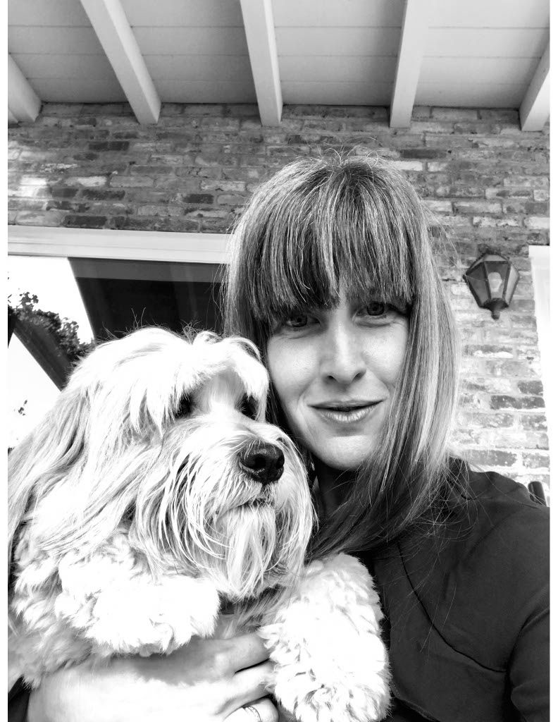 Aggressive Dogs Enforcement Orders, Urban Zoo, NewsTalk Sauga 960AM ...