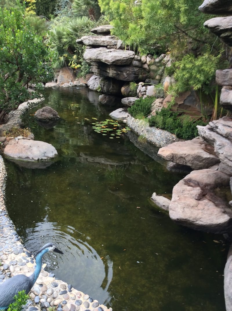 Photo Gallery | Desert Springs Water Features