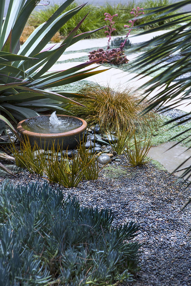 - Desert Springs Water Features