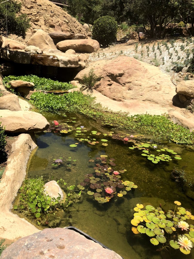 Photo Gallery | Desert Springs Water Features