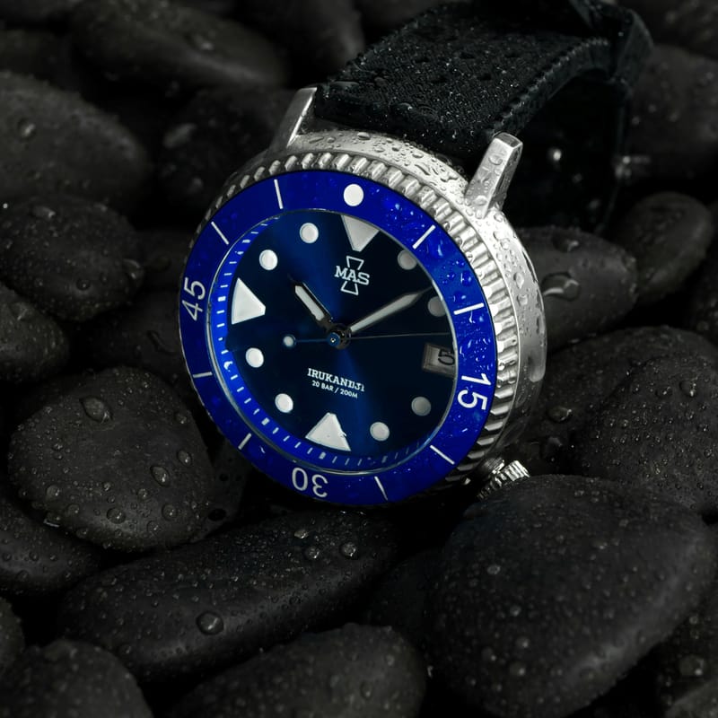 Dive - MATTHEW AND SON WATCHES