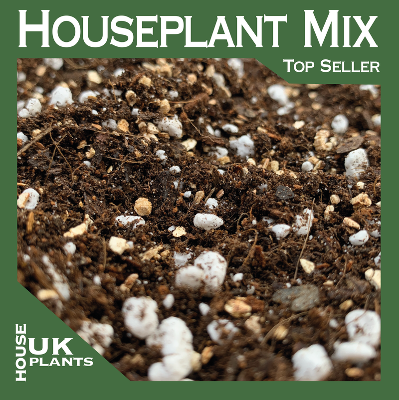 Multipurpose Mixes for Casual Growers - ukhouseplants