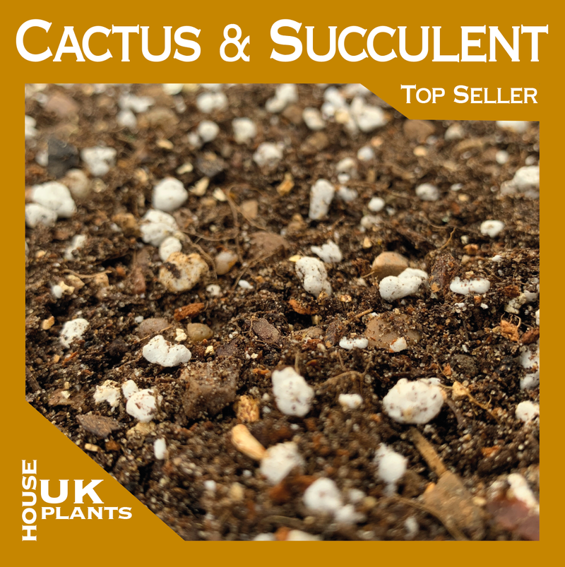 CACTI & SUCCULENTS Soil Mix (Pest-Free Potting Compost) 1-25L