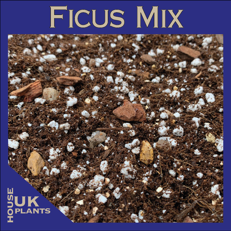 Plant-Specific Mixes for Keen Growers - ukhouseplants