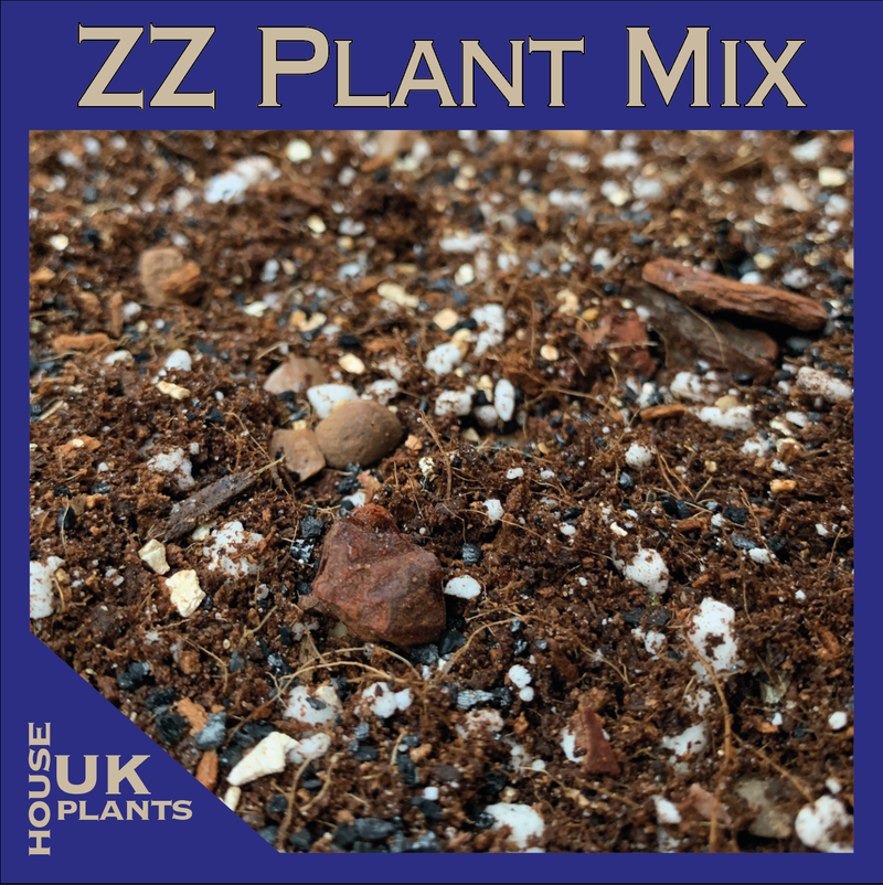 Plant-Specific Mixes for Keen Growers - ukhouseplants