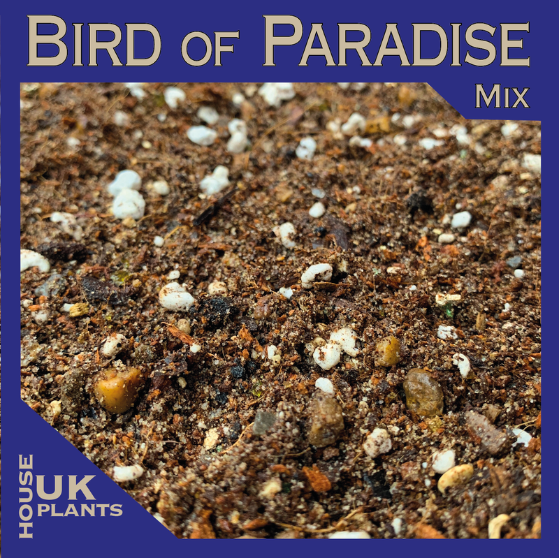 Plant-Specific Mixes for Keen Growers - ukhouseplants