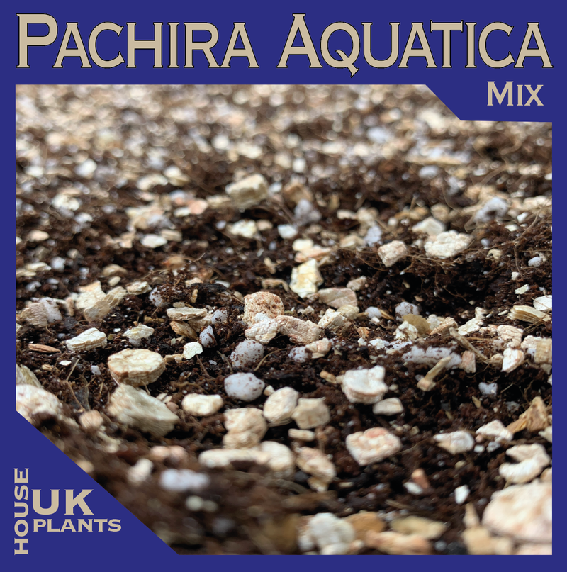 LECA Clay Pebbles for Houseplants (Hydroleca)