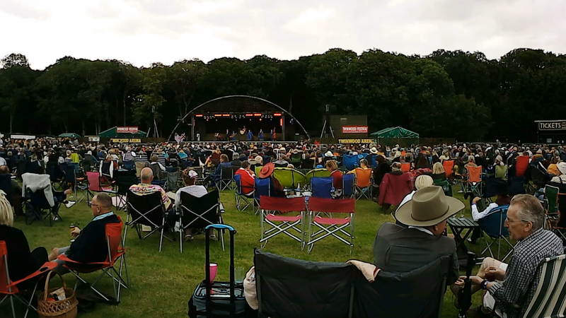 Twinwood festival store