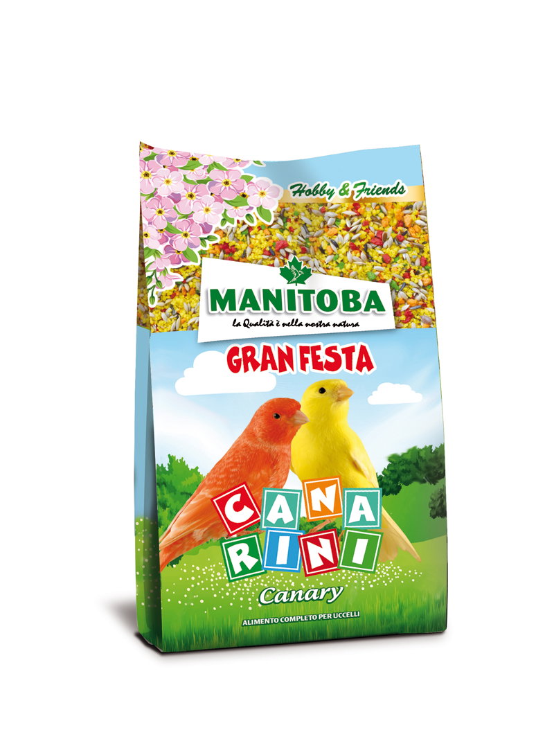 gran festa canary 500g - mohamed faisal