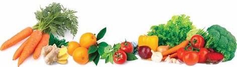 Stop Battling Disease and Start Building Wellness - VictoryEmbraced ...