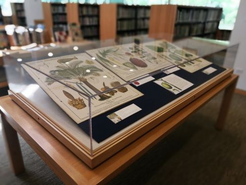 Main Categories - Museum Boxes