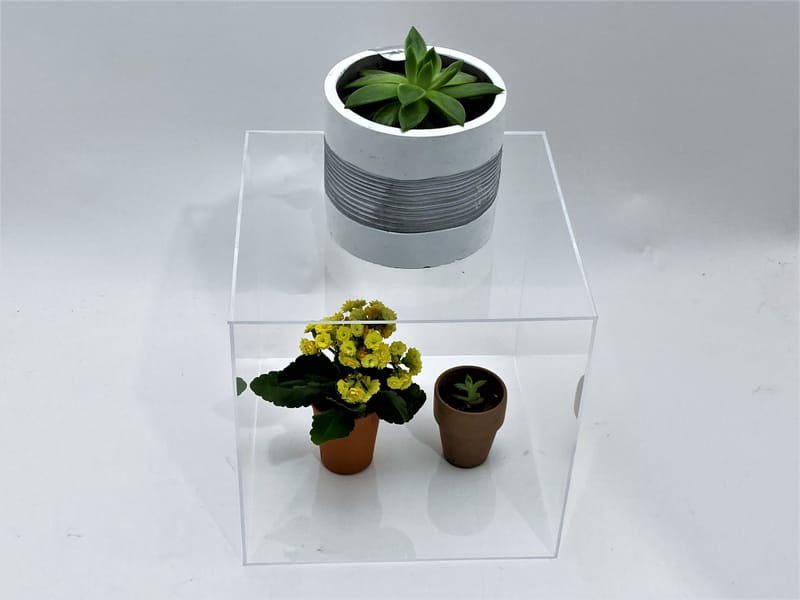 Clear 5-Sided Acrylic Boxes - Museum Boxes