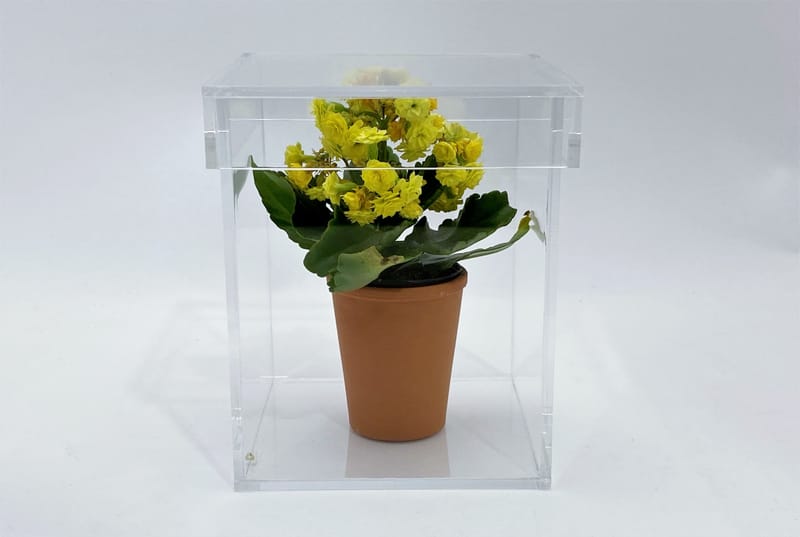 Making the Most of Your Display! - Museum Boxes