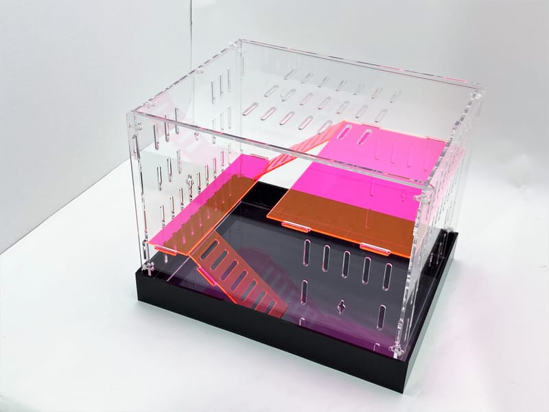 Acrylic Animal Enclosures and Cages - Museum Boxes