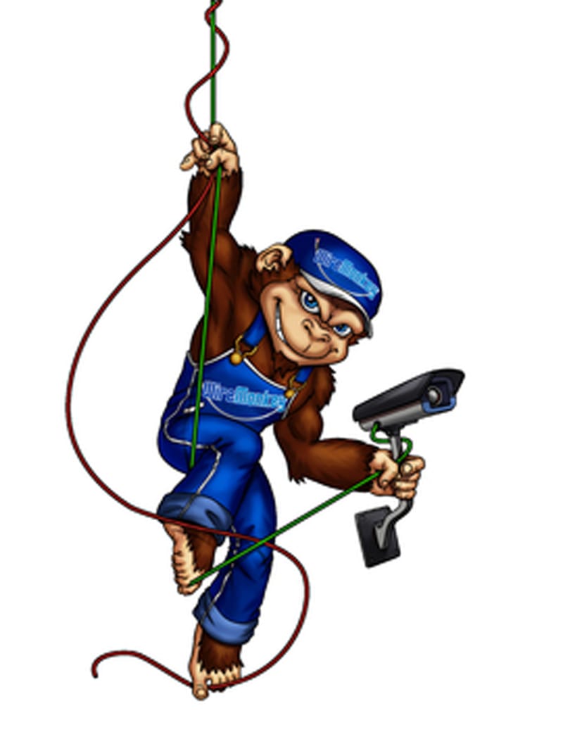 Services - Wire Monkey, Inc.