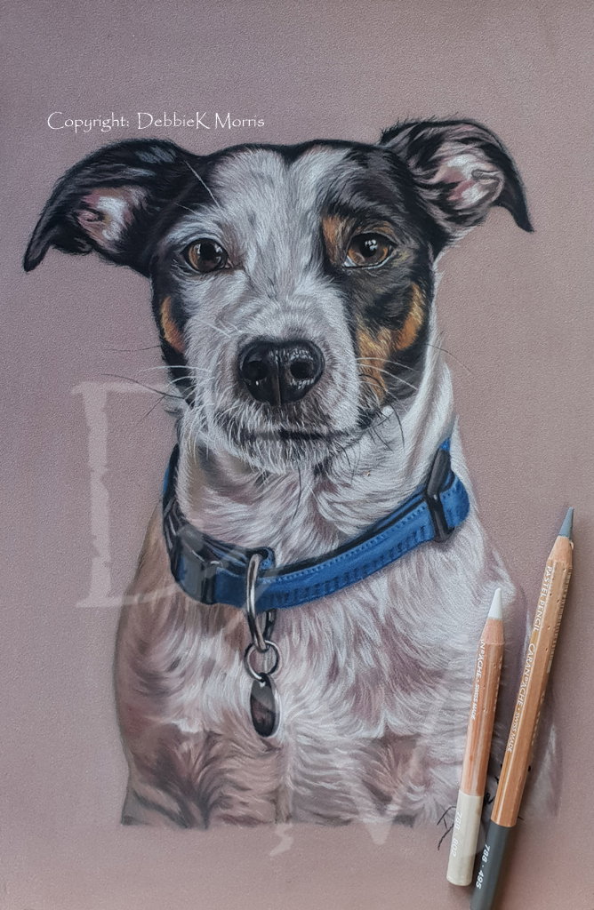 Skampy - Gallery image 24 of 81 - Portraits by Debbie K...