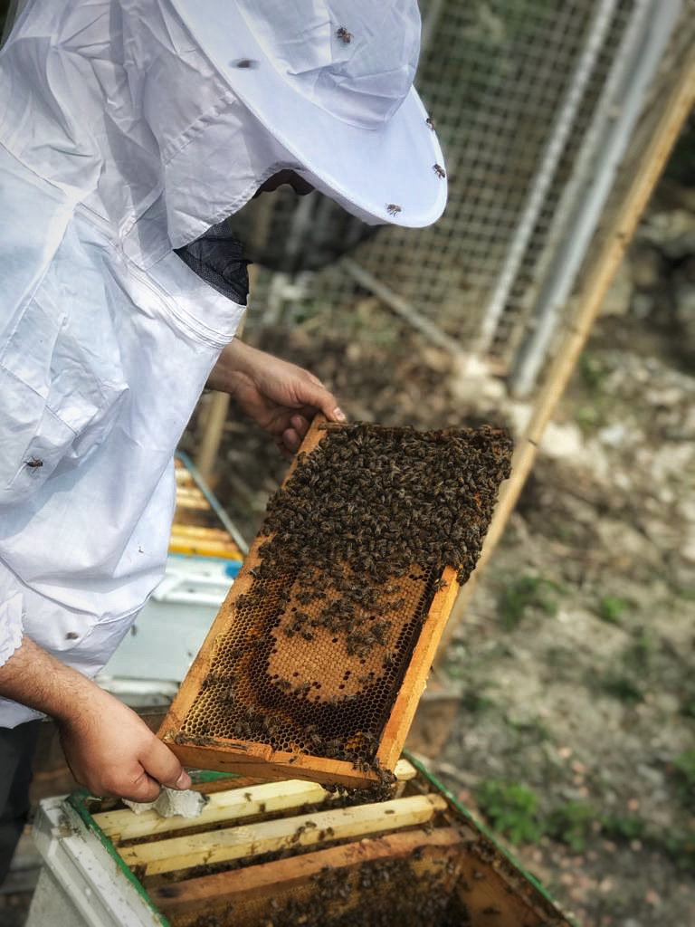 Bee&Mee Articles