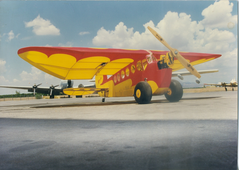 Lazy Bee Special - Andy Clancy Designs