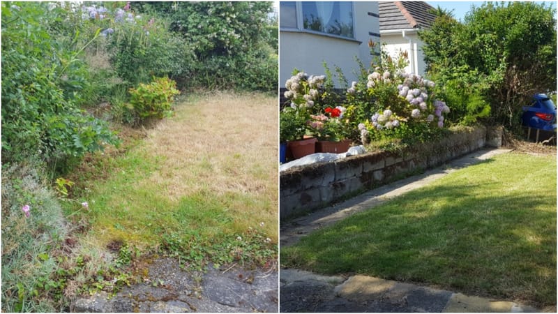 Cut and Clear Overgrown Gardens - Gallery image 8 of 36