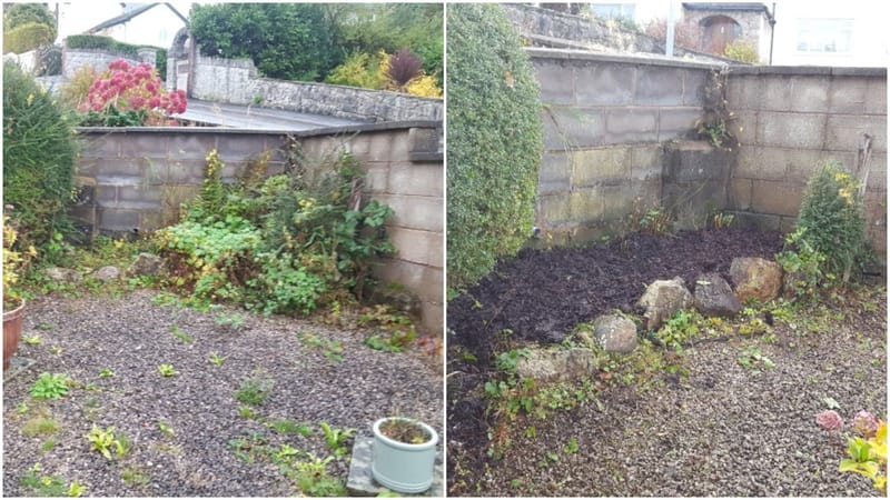 Maintaining Beds and Borders - First Cut - Gardening Services