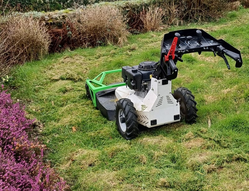 Wild Uncut Grass - First Cut - Gardening Services