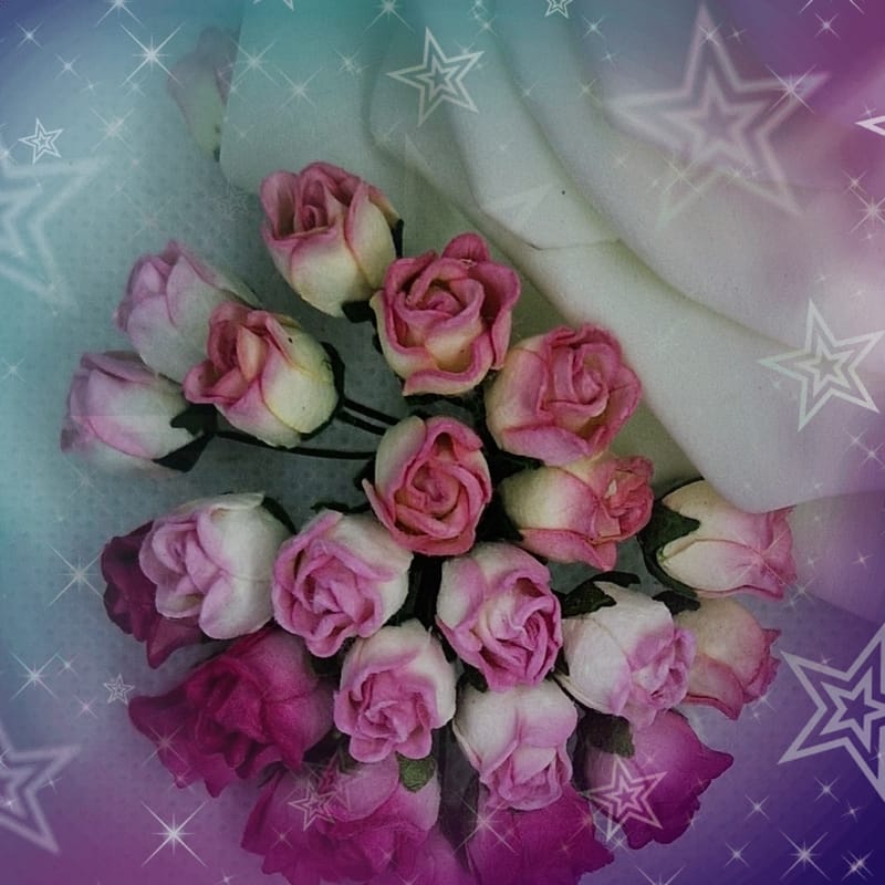New Pink Mix Semi Open Roses (T30-3-E V) - Blingtastic