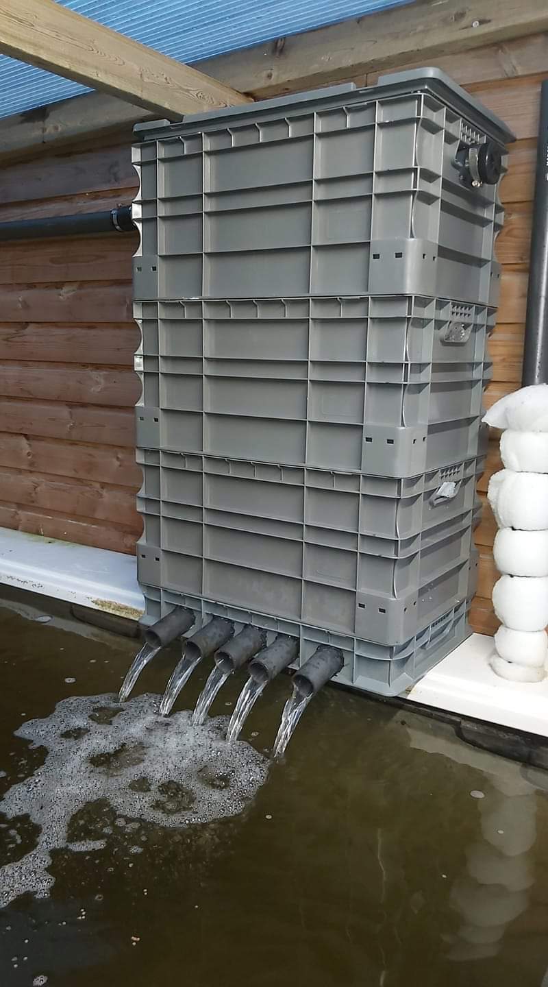 Bakki Shower Dorset Koi