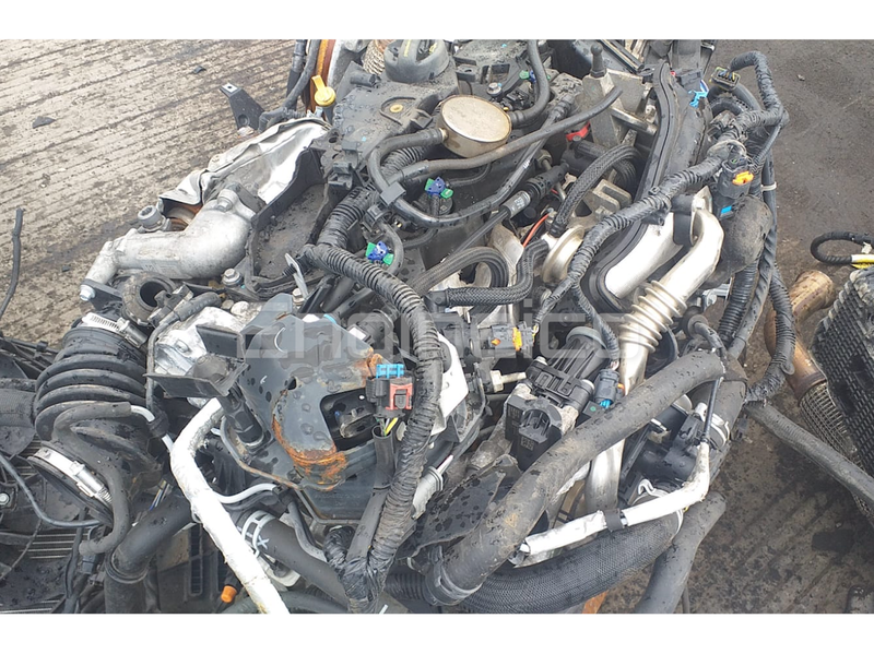 Ford Transit Connect 1.5 Diesel Engine code XVGA - Engineico